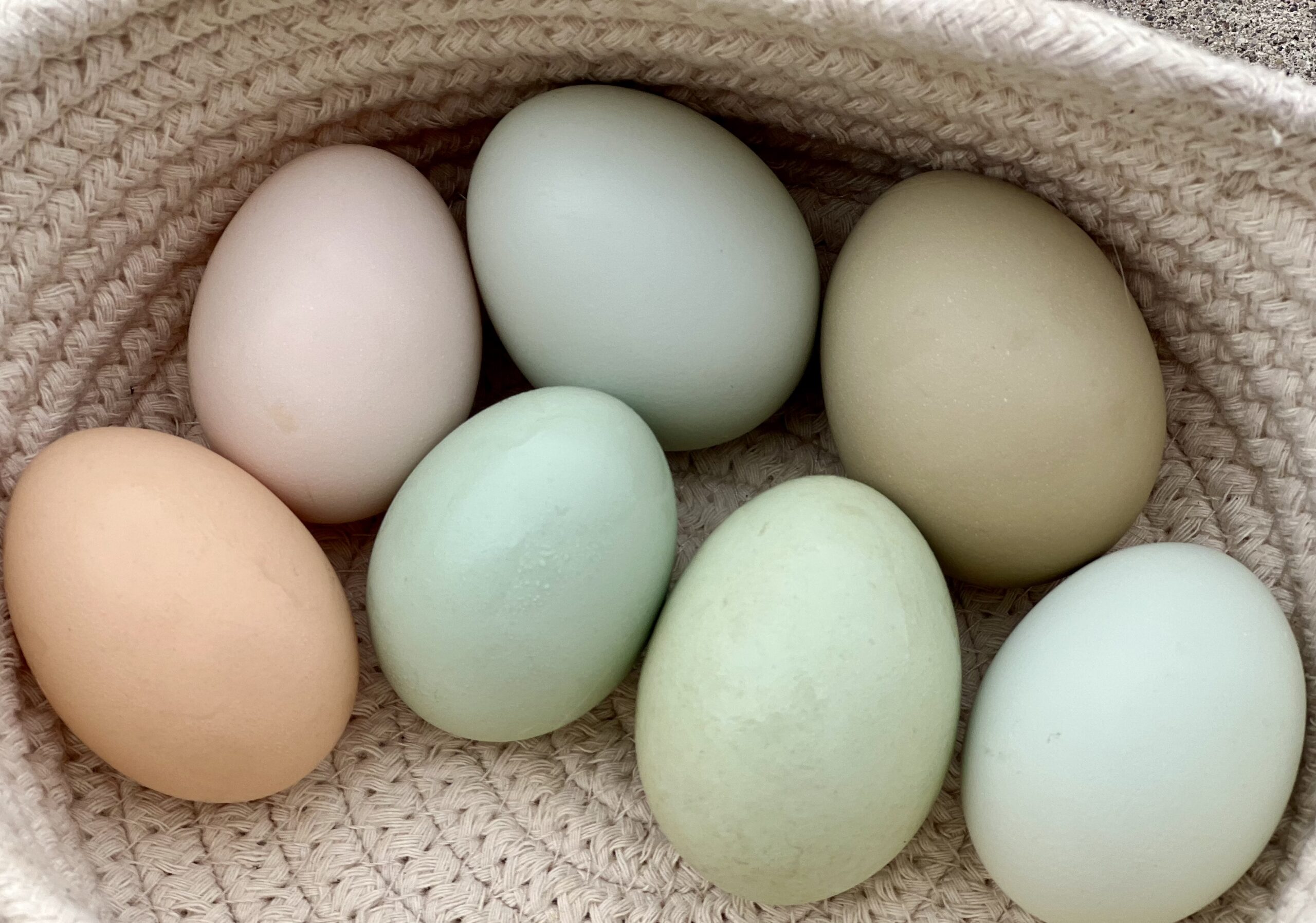 Happy National Egg Day! – My Military Lifestyle