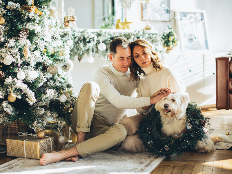 Paws & Presents: Celebrating a Whisker-Warming Holiday with Your Furry ...